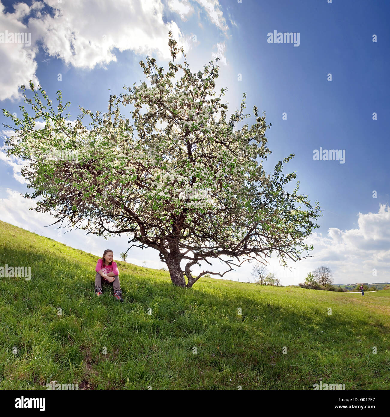 Girl under apple tree Stock Photo - Alamy