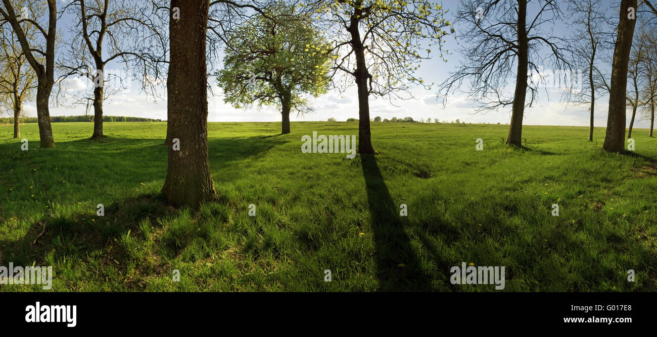 Apple Tree Allee High Resolution Stock Photography and Images - Alamy