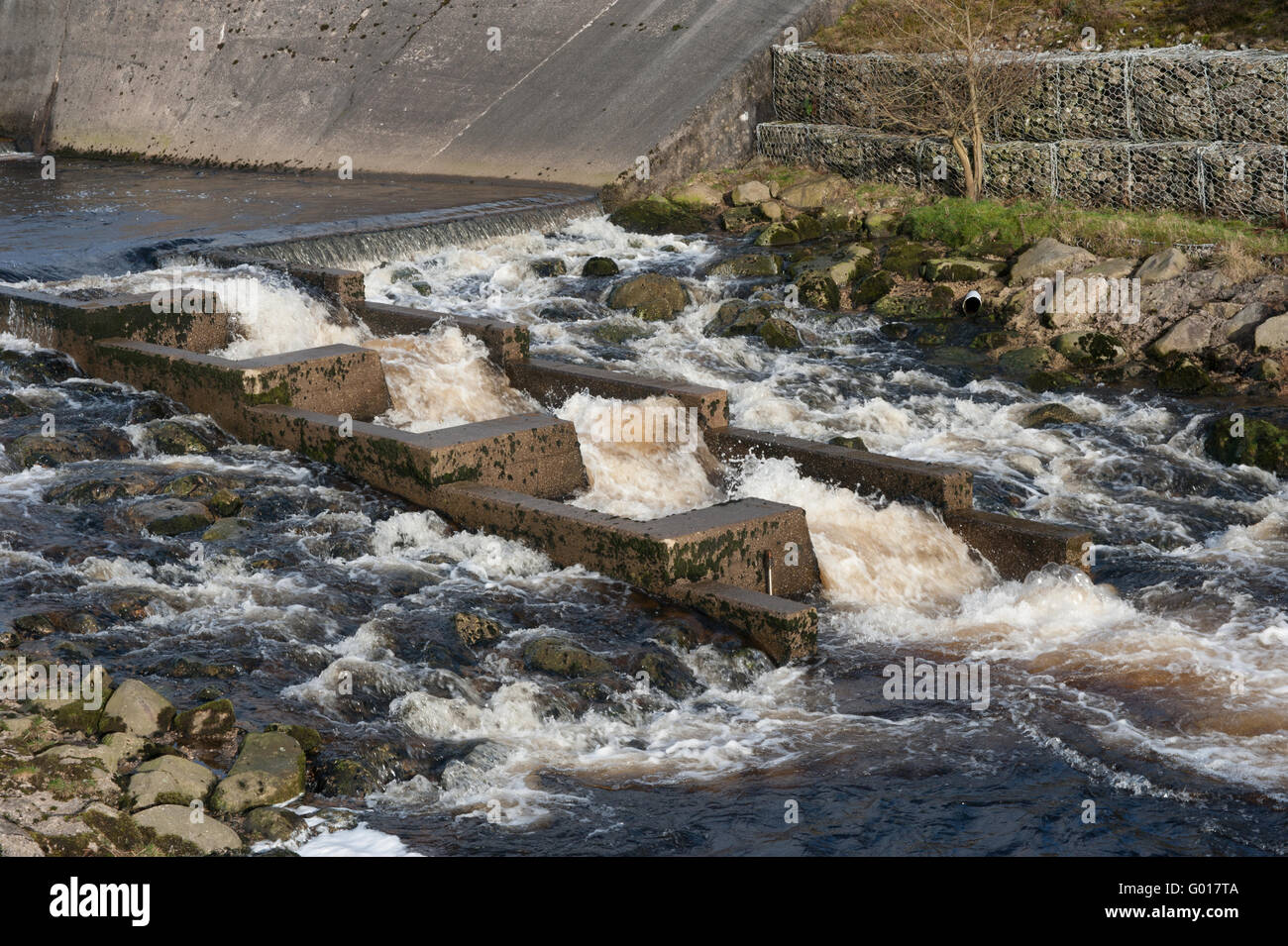 Fish ladder on the River Dunsop in the Forest of Bowland Stock Photo ...