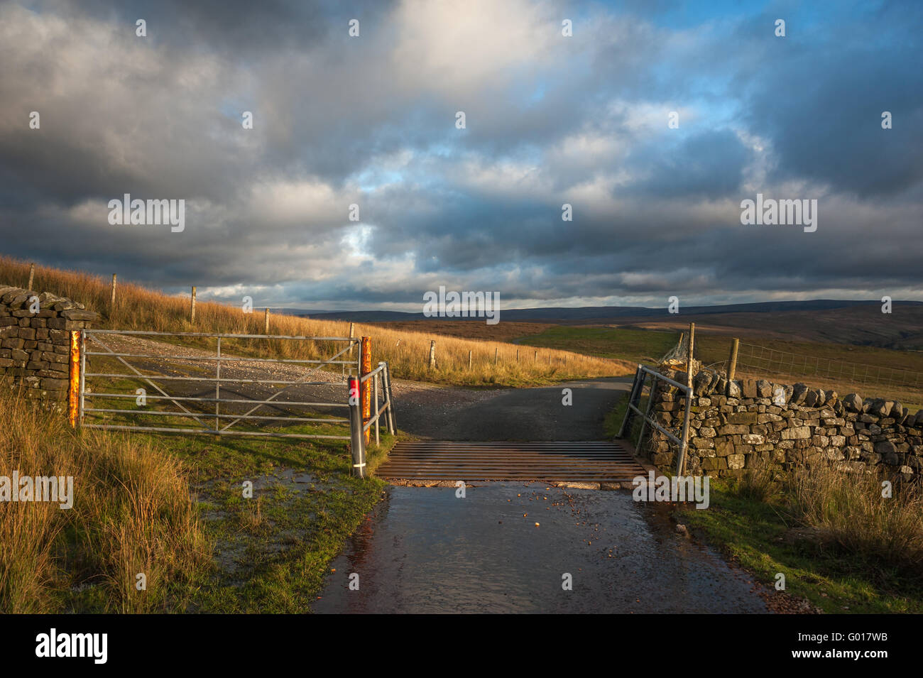 Cattle grid on The Roeburndale Road Forest of Bowland Stock Photo - Alamy