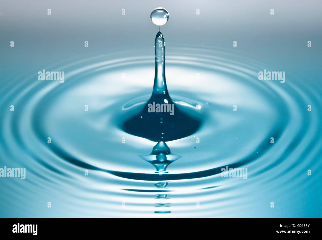 Micro photography in studio Stock Photo - Alamy