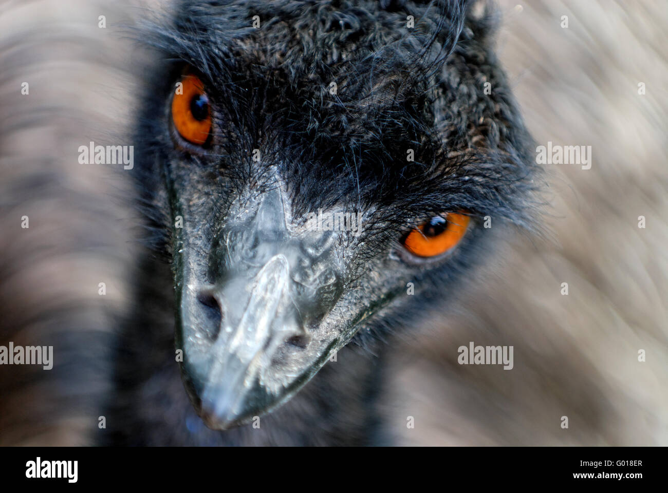Flight unable hi-res stock photography and images - Alamy