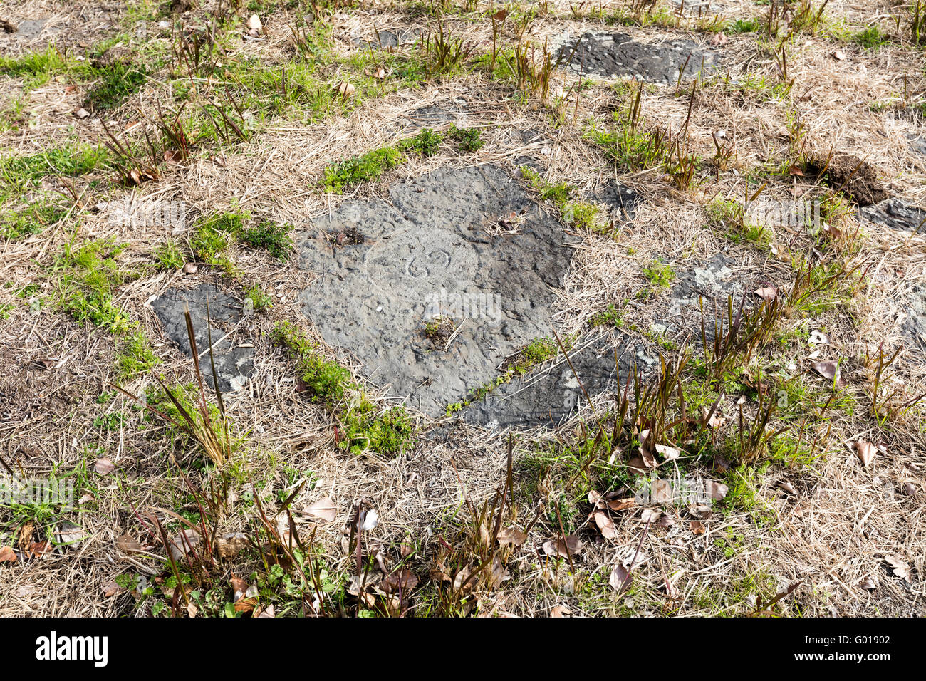 The cemetery of the 366 pits designed in 1762 by architect Ferdinando ...