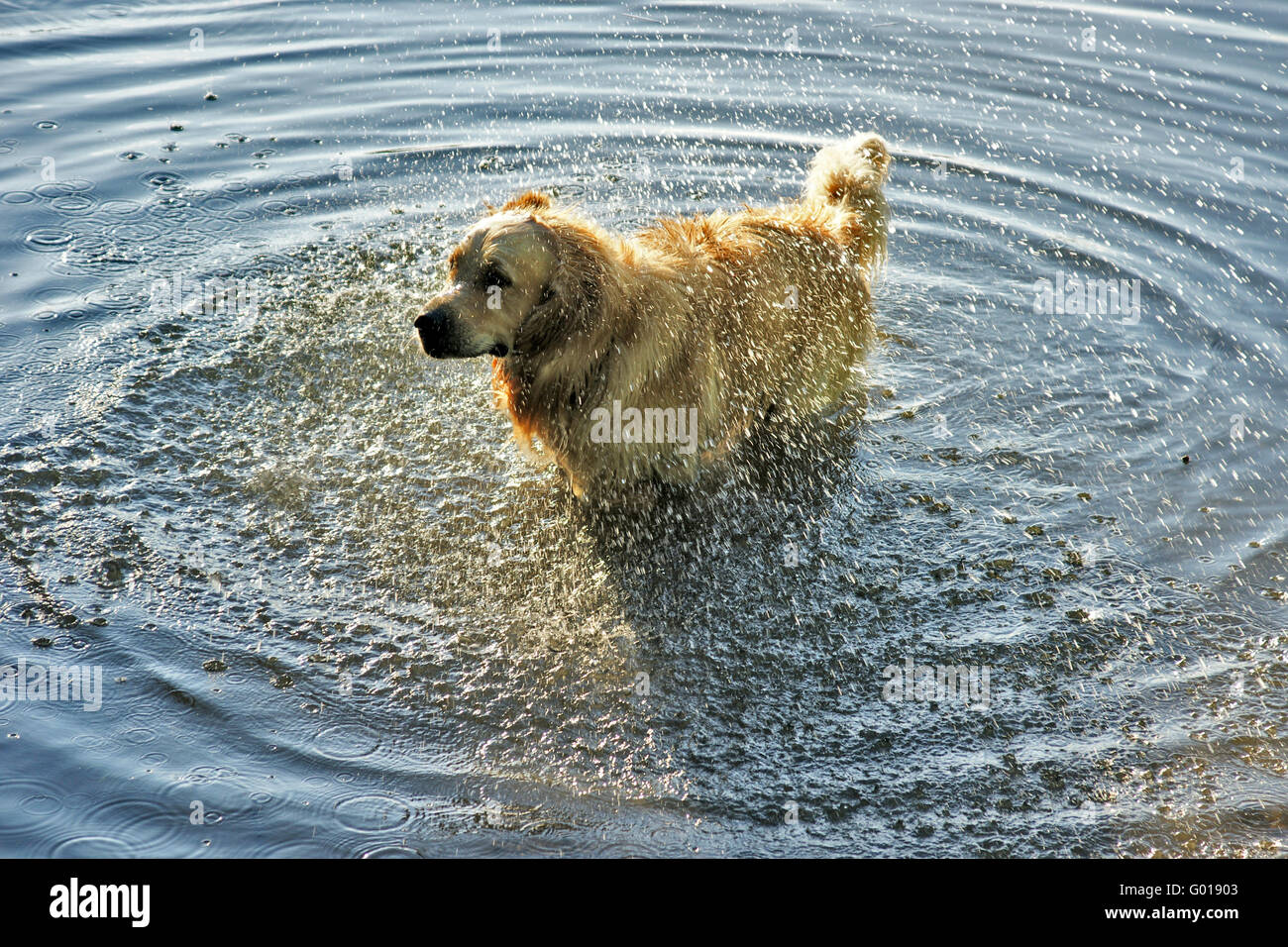 Haking hi-res stock photography and images - Alamy