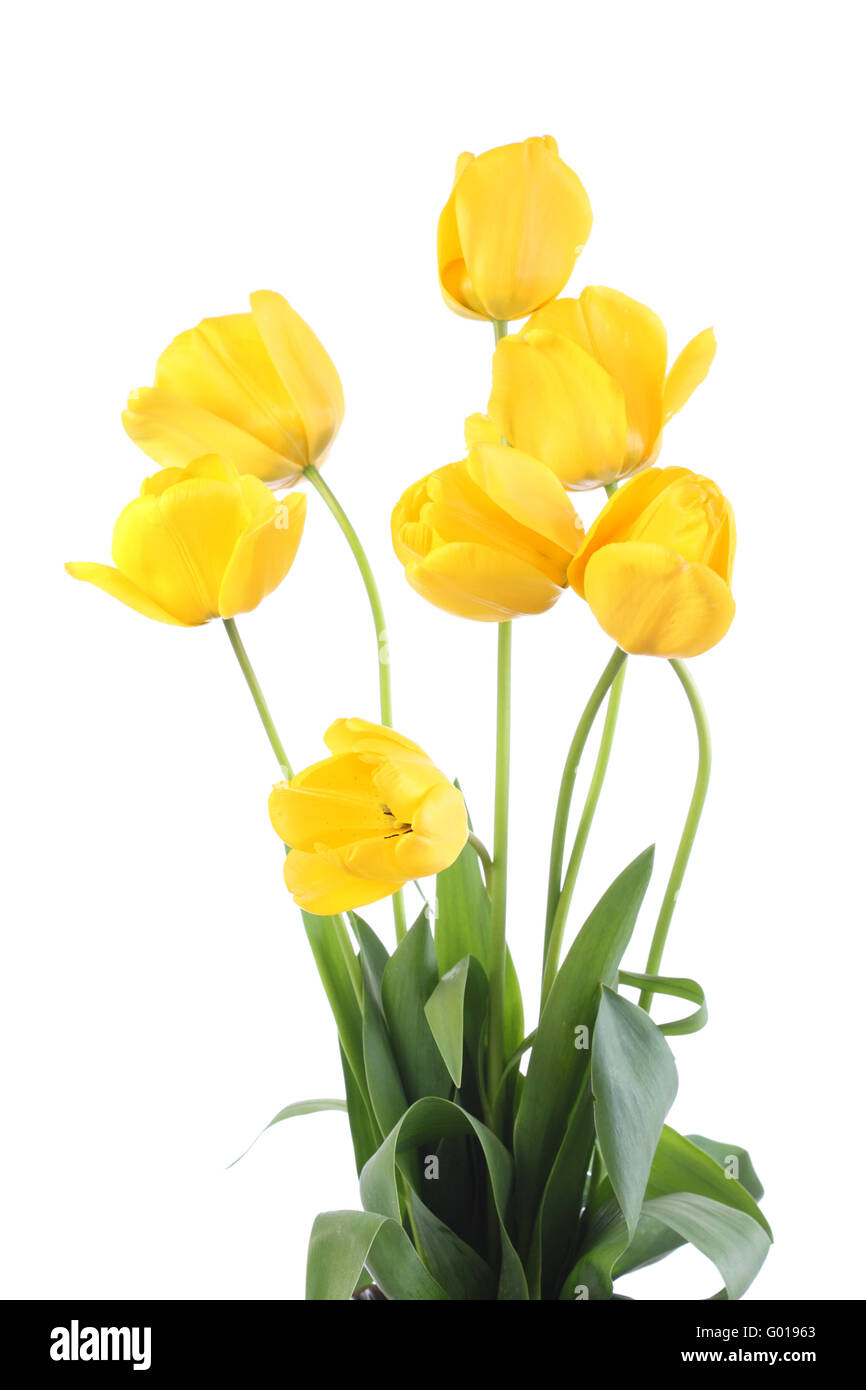 Isoliertes bouquet hi-res stock photography and images - Alamy