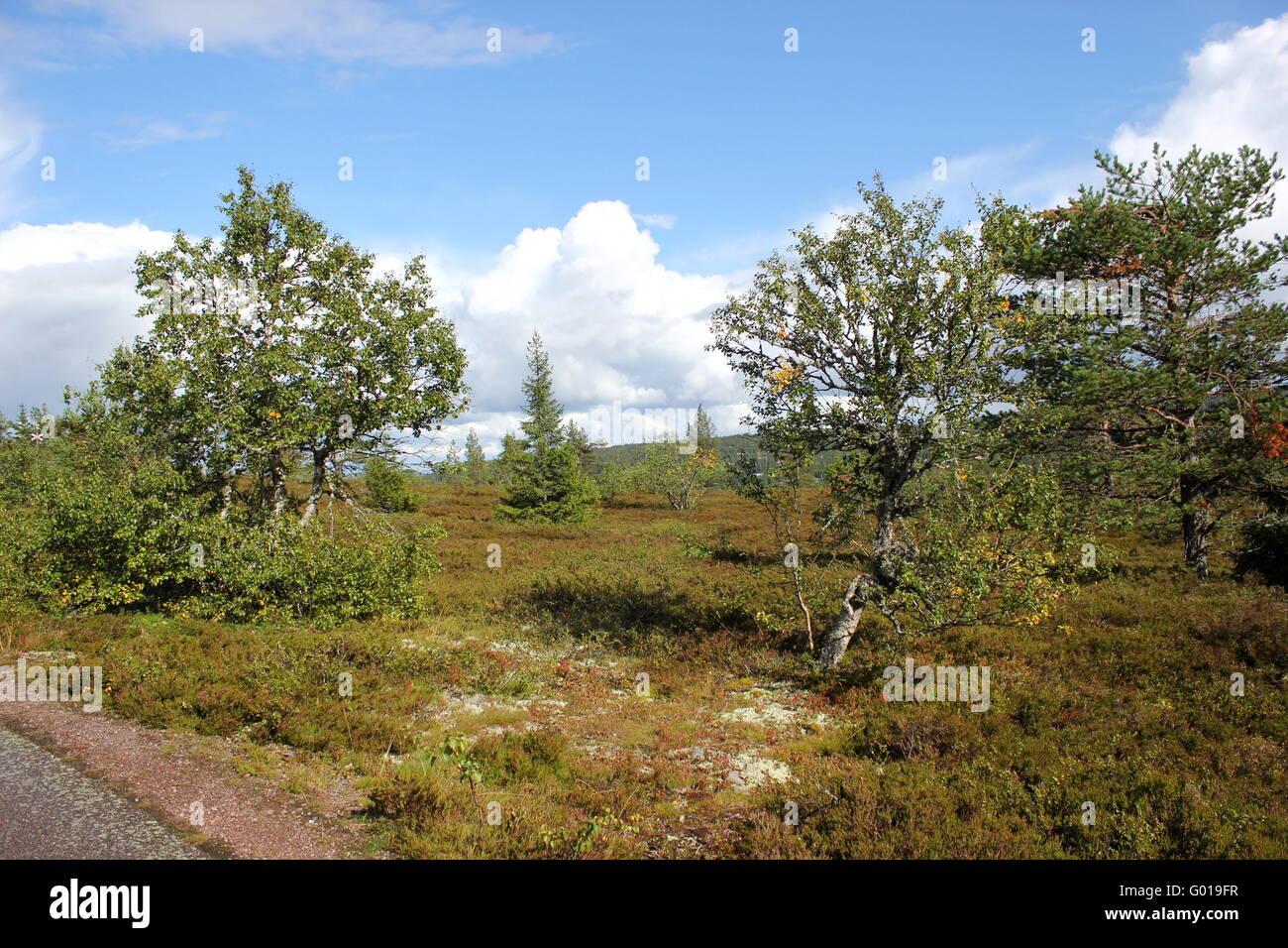 The kings path hi-res stock photography and images - Alamy