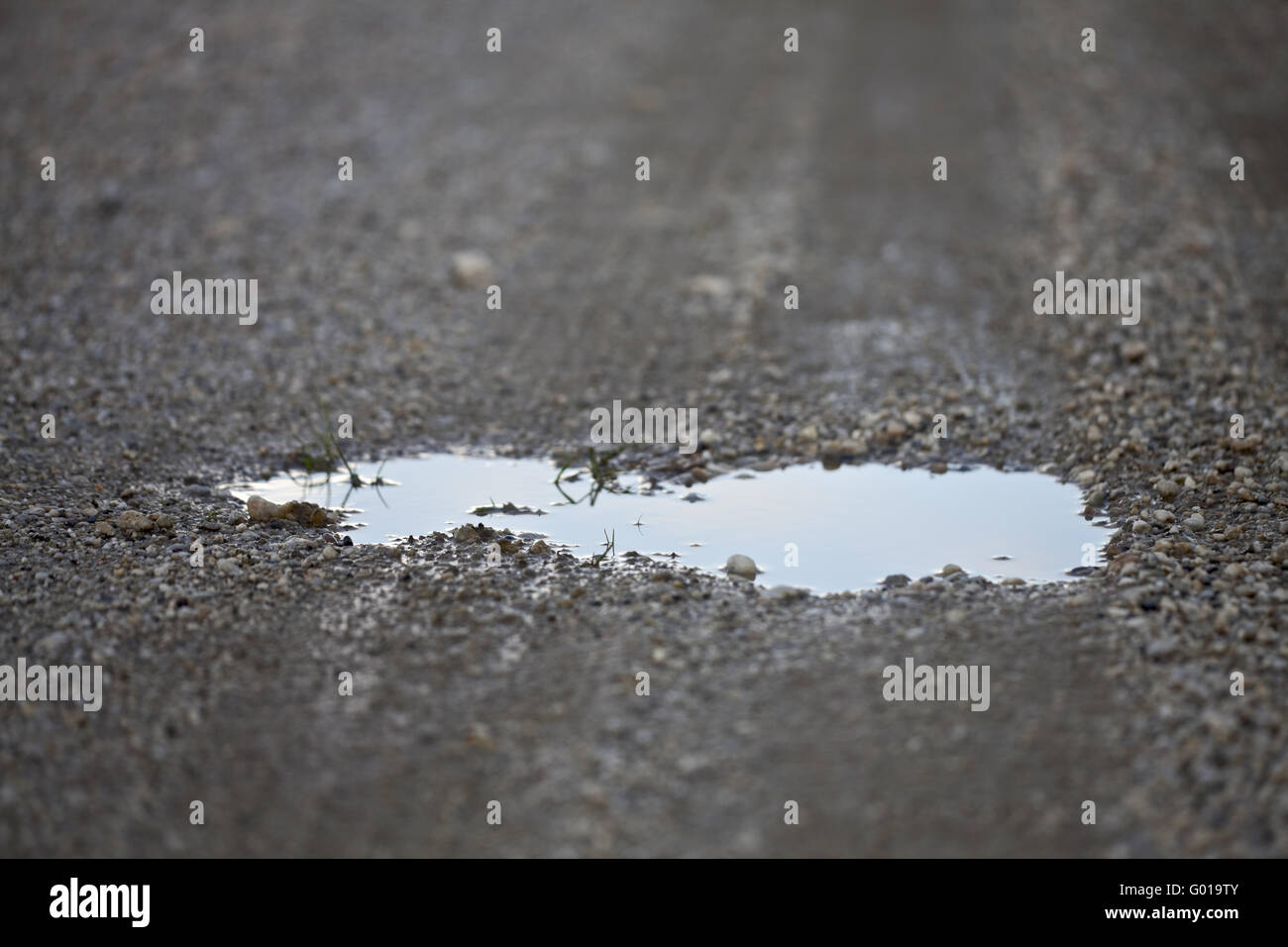 water in a puddle reflecting the sky Stock Photo - Alamy