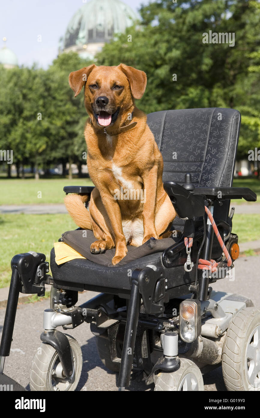 Preventing disability hi-res stock photography and images - Alamy