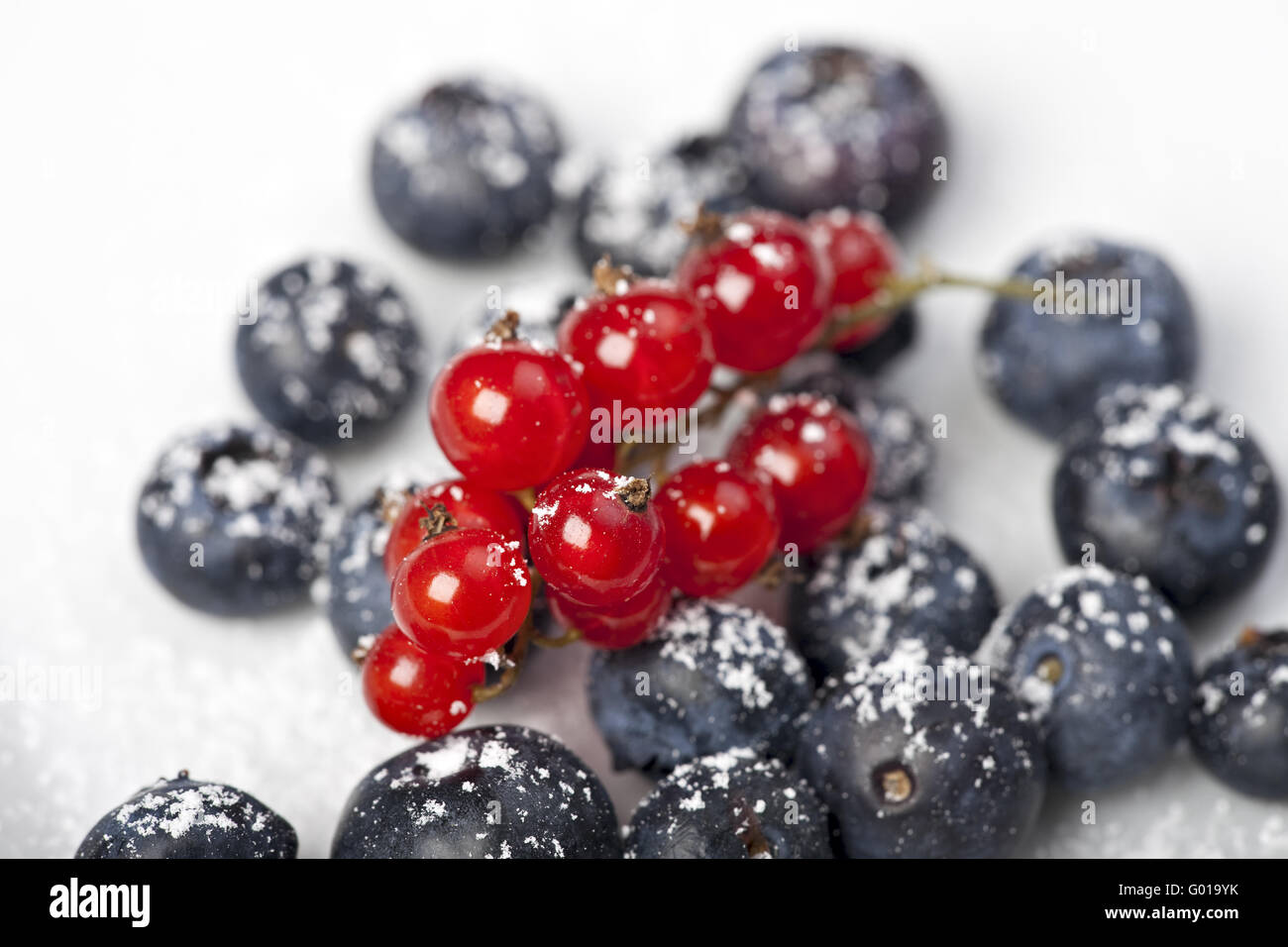 Makro blaubeere hi-res stock photography and images - Alamy