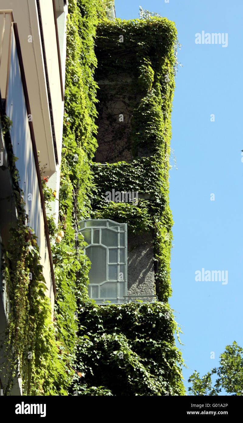 Fassade haus green hi-res stock photography and images - Alamy