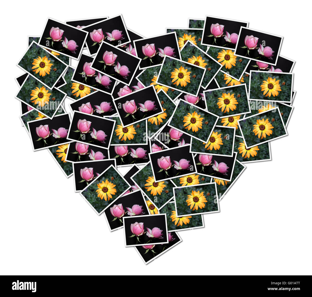 Heart shaped leaf black Cut Out Stock Images & Pictures - Alamy