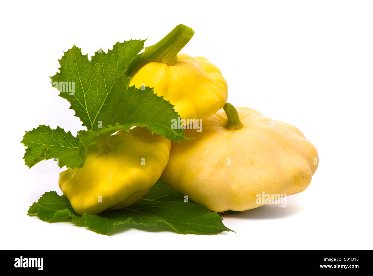 Scallop squash and green leaves on white background Stock Photo - Alamy