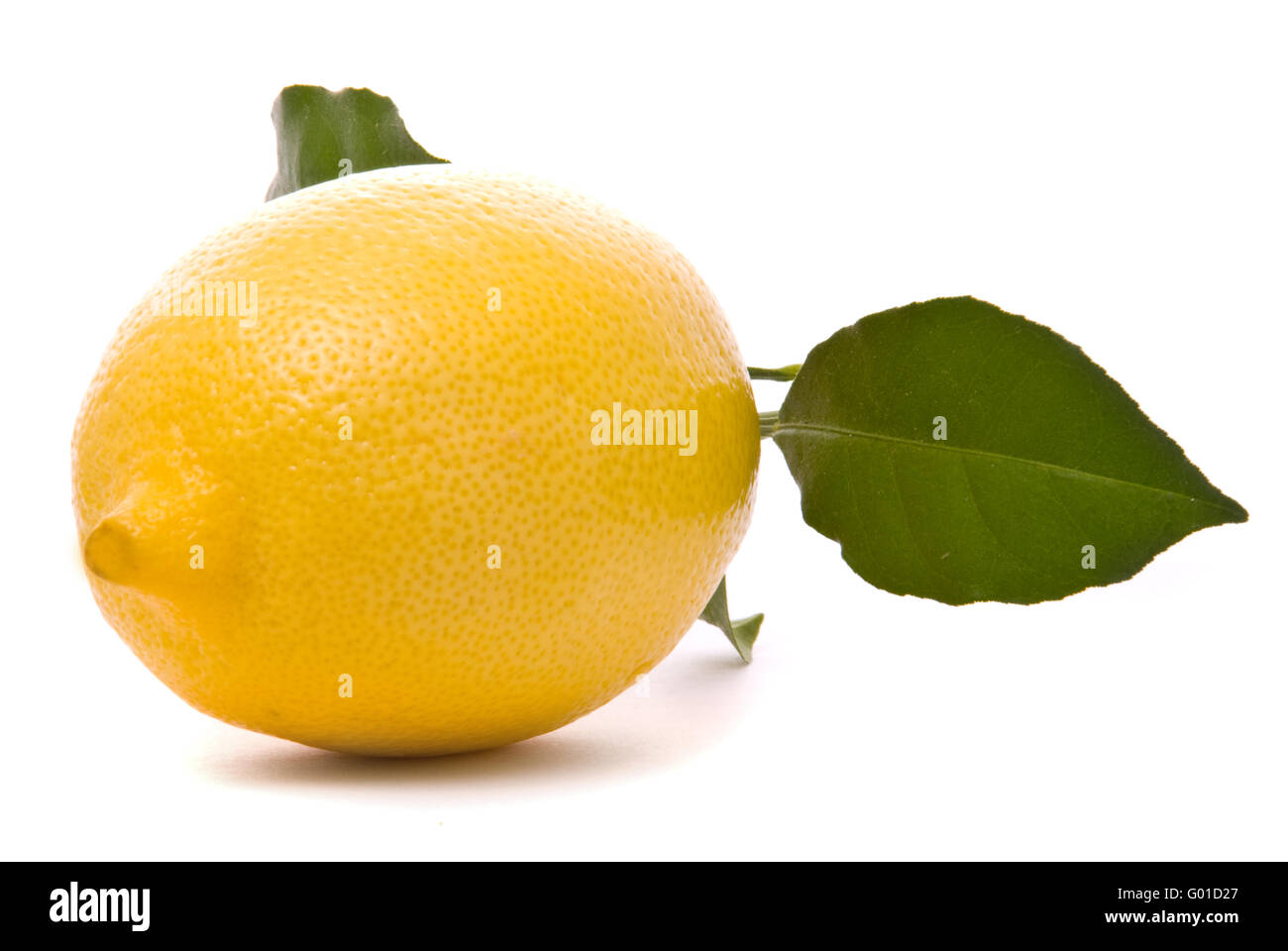 Fresh lemon isolated on a studio white background Stock Photo - Alamy