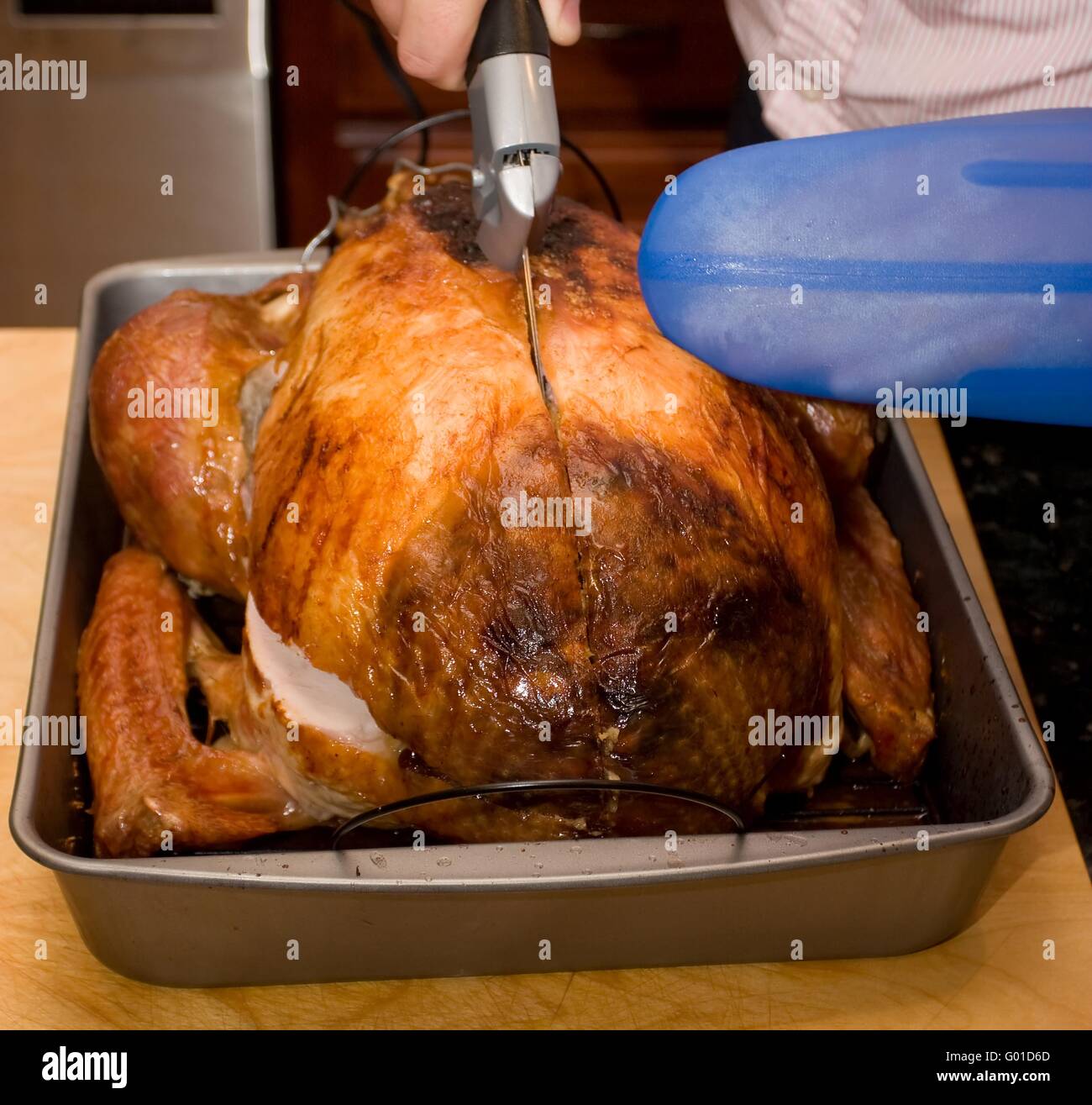 Fat turkey bird hi-res stock photography and images - Alamy