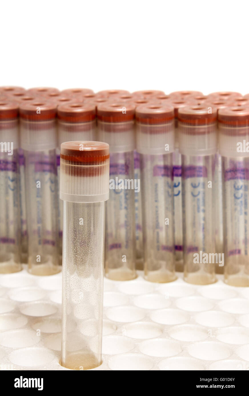 Test tube rack isolated hi-res stock photography and images - Alamy