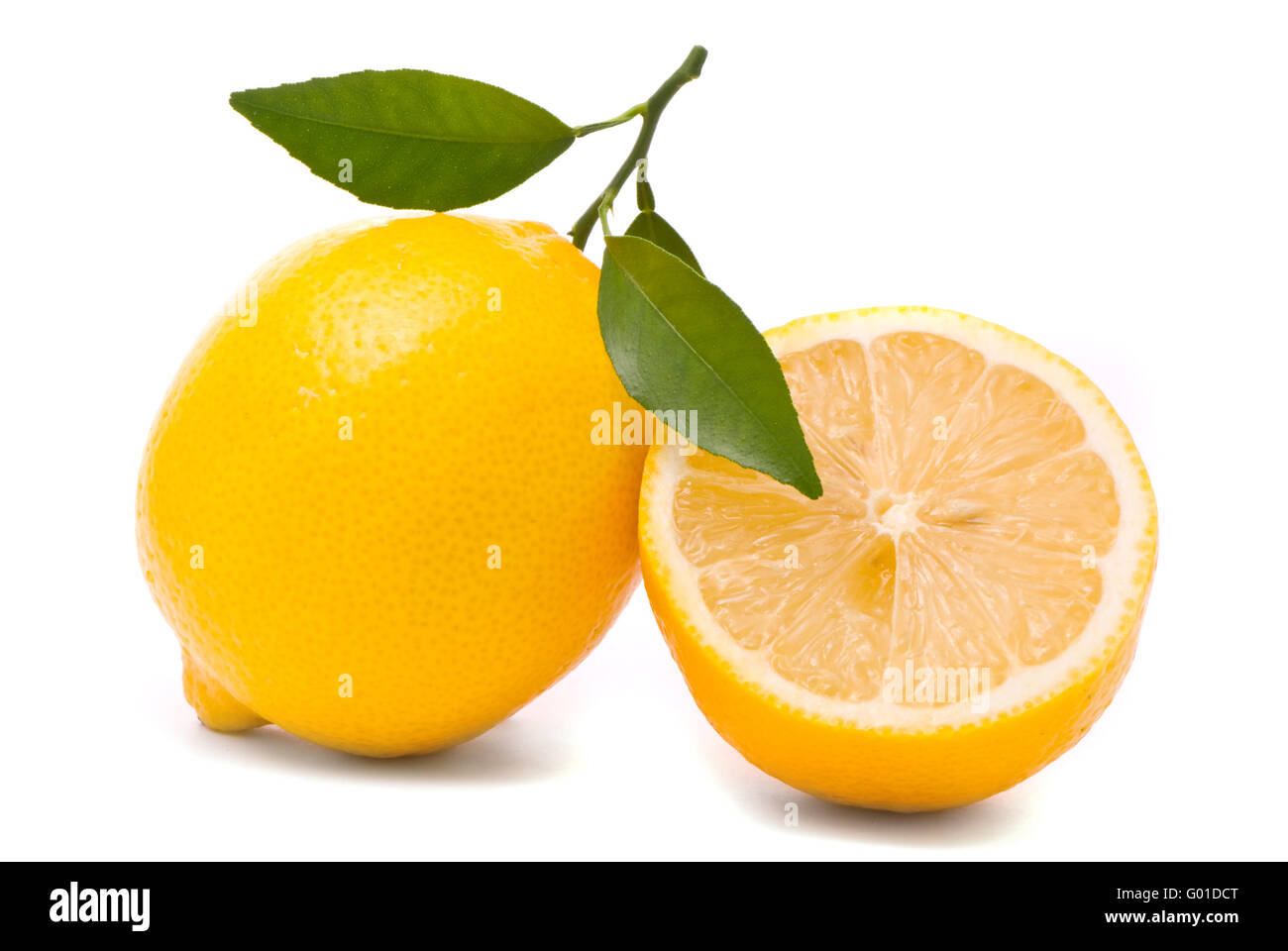 Macro shot slice lemon Cut Out Stock Images & Pictures - Alamy