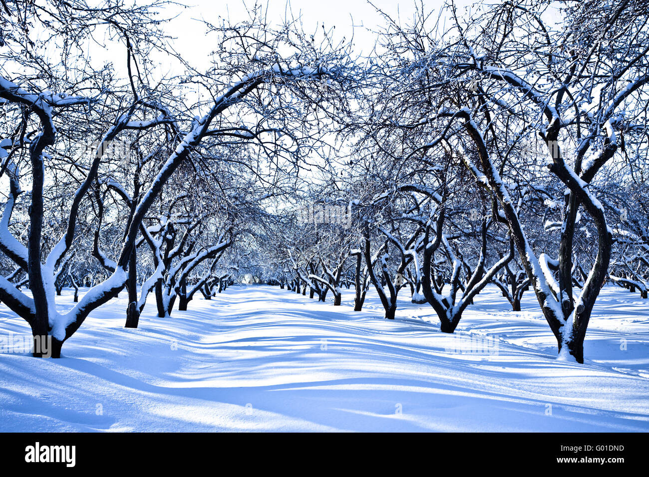 Rural landscape garden track hi-res stock photography and images - Alamy