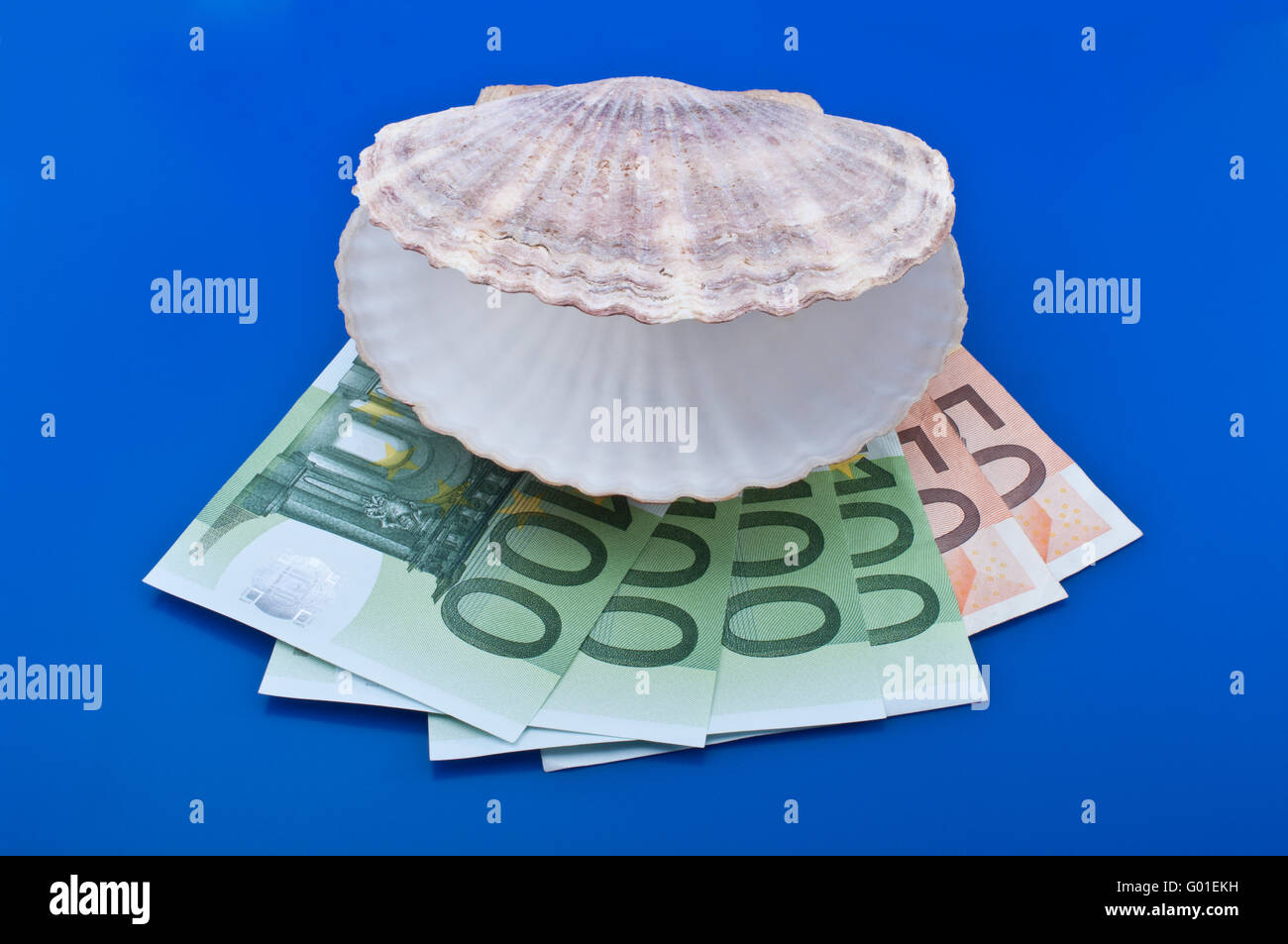 Ocean shell and euro on a dark blue background Stock Photo - Alamy