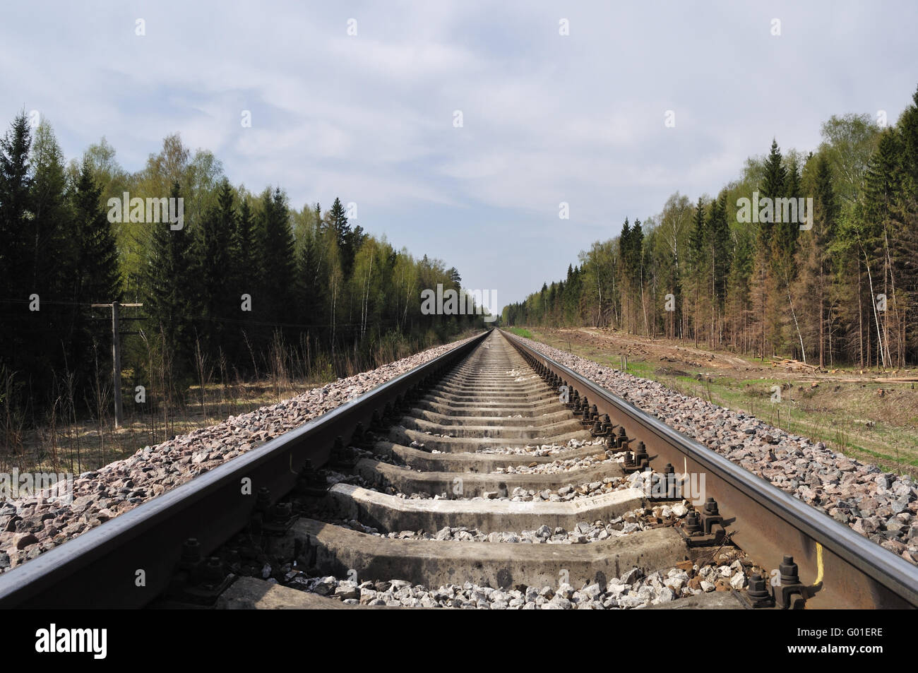 Landscape with railway track in forest on spring time Stock Photo - Alamy