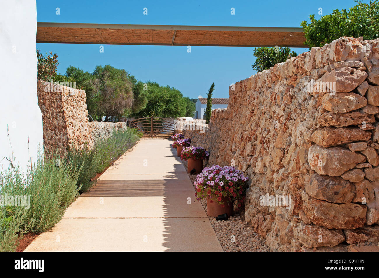 Menorca, Balearic Islands: stone walls and flowers in the minorcan ...
