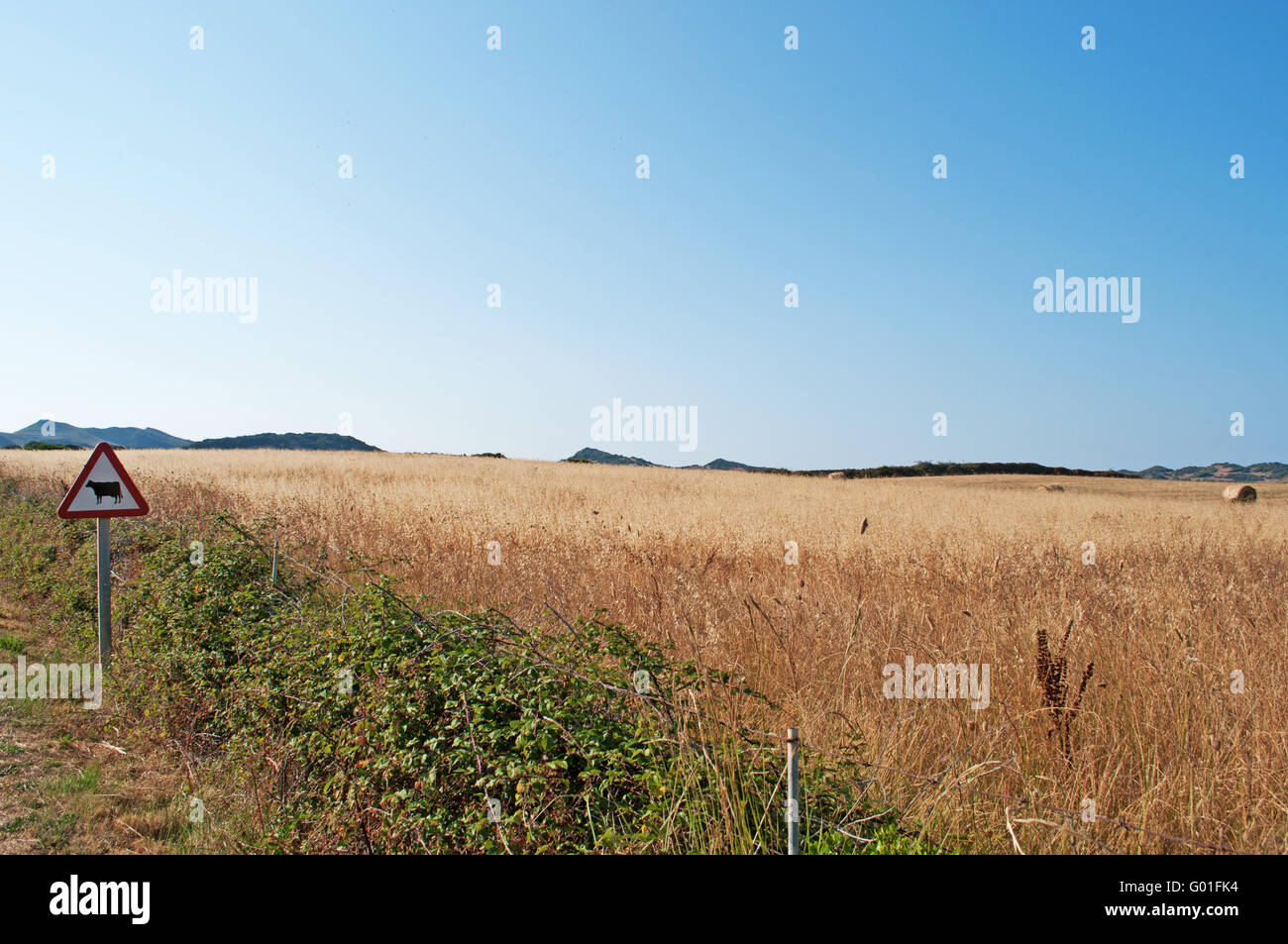 Menorca, Balearic Islands, Spain, Europe: haystacks, sheaves and wheat ...