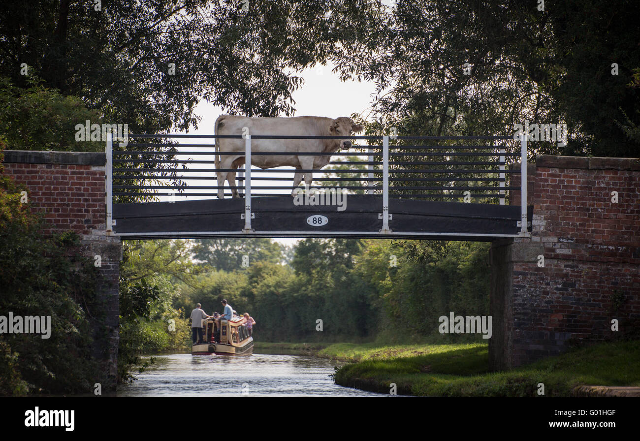 Narrow boatboat hi-res stock photography and images - Alamy
