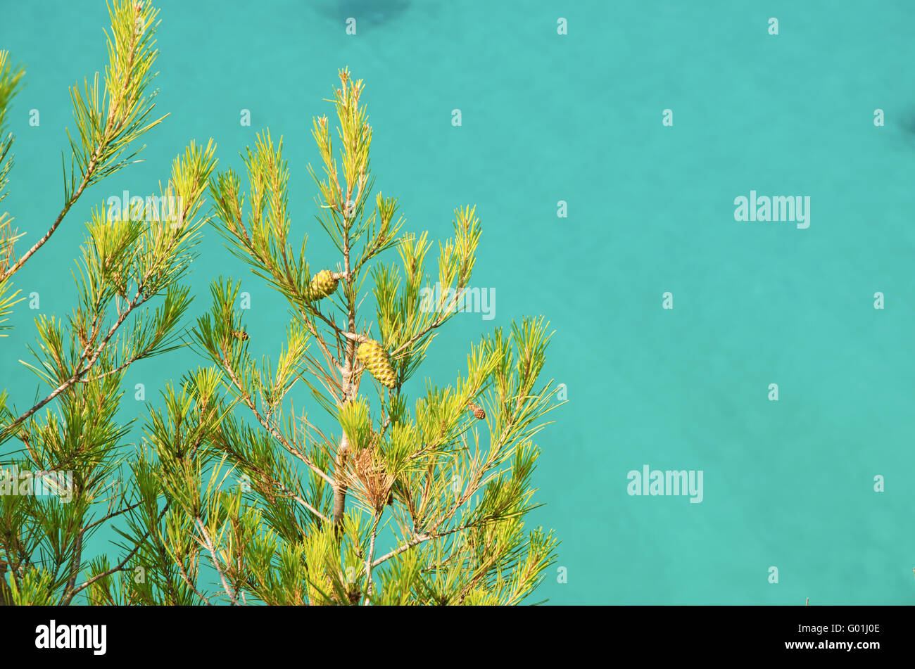 Mediterranean climate biome hi-res stock photography and images - Alamy