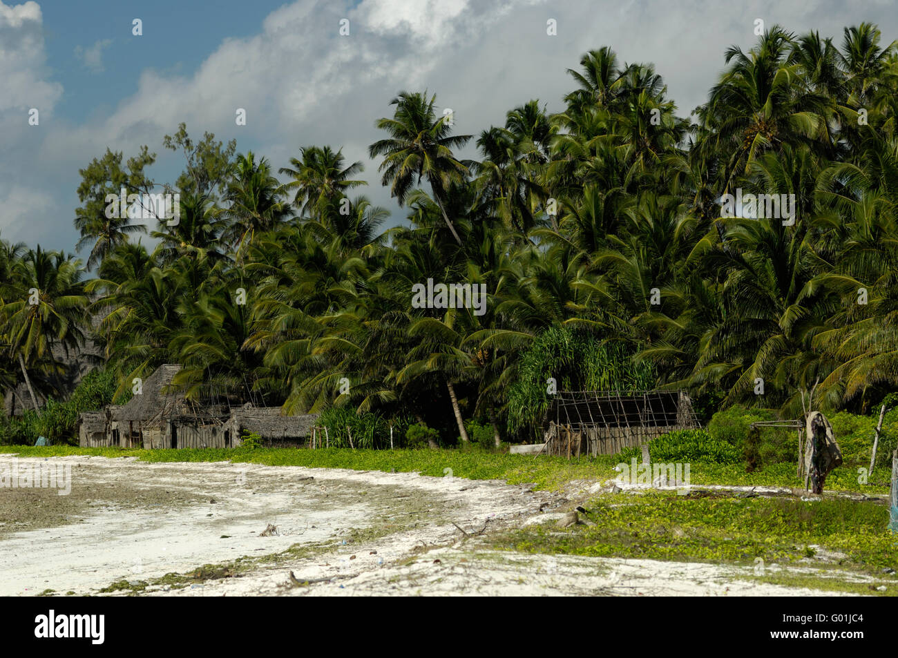 Pongwe bay zanzibar hi-res stock photography and images - Alamy