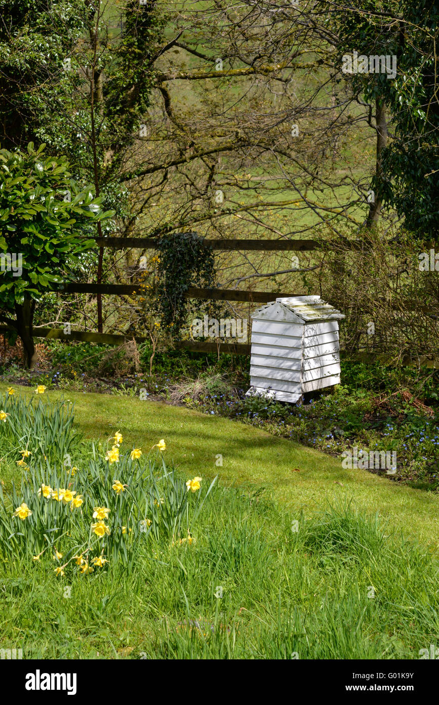 Ornamental bee hive hi-res stock photography and images - Alamy