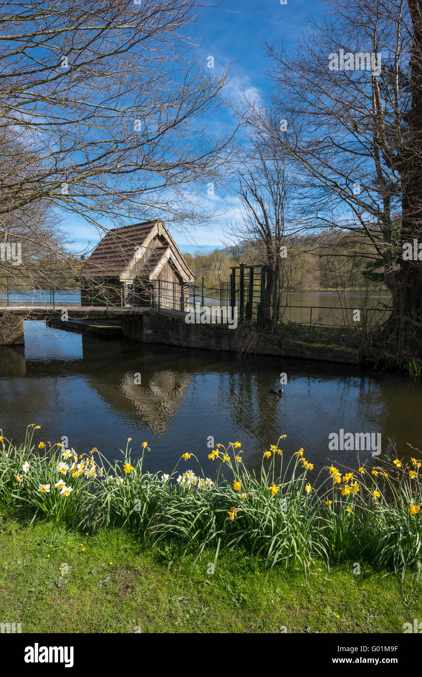 A spring day at the Roman Lakes near Marple, Stockport, England Stock ...