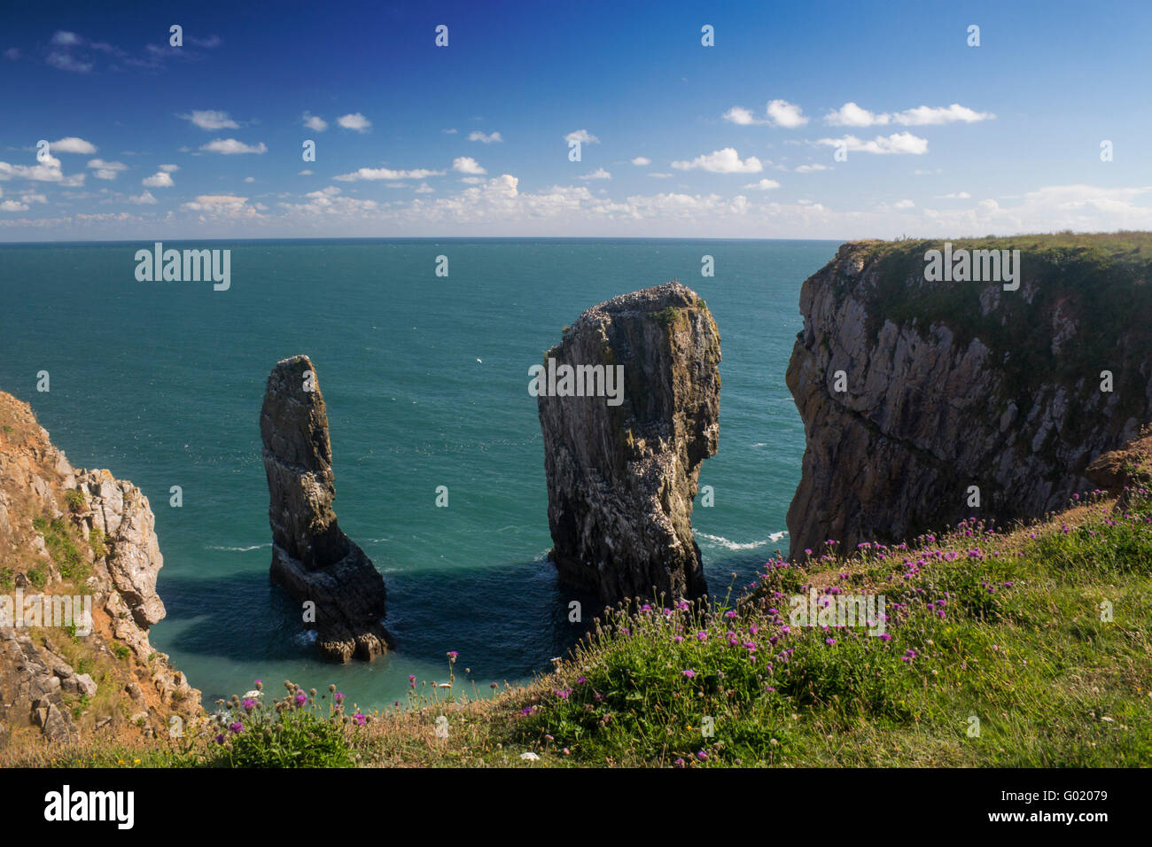 Stack rocks pembrokeshire coast hi-res stock photography and images - Alamy