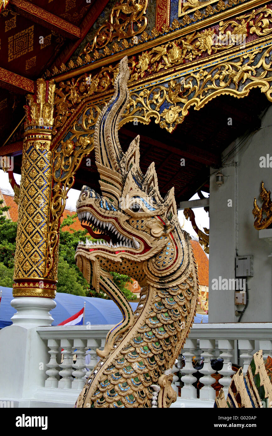 Reptil symbol hi-res stock photography and images - Alamy