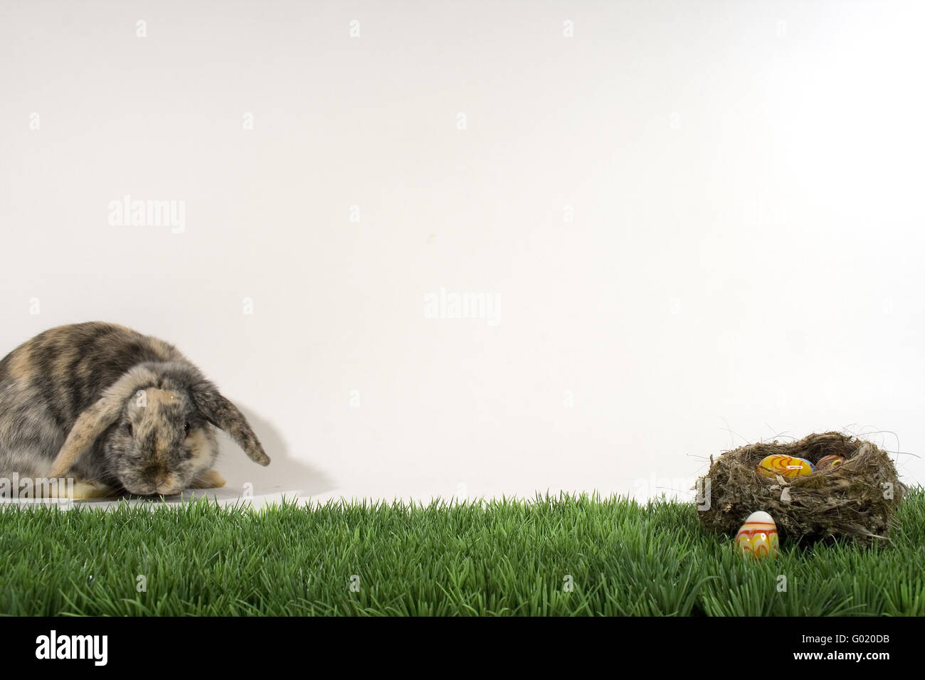 Cute easter egg hi-res stock photography and images - Alamy
