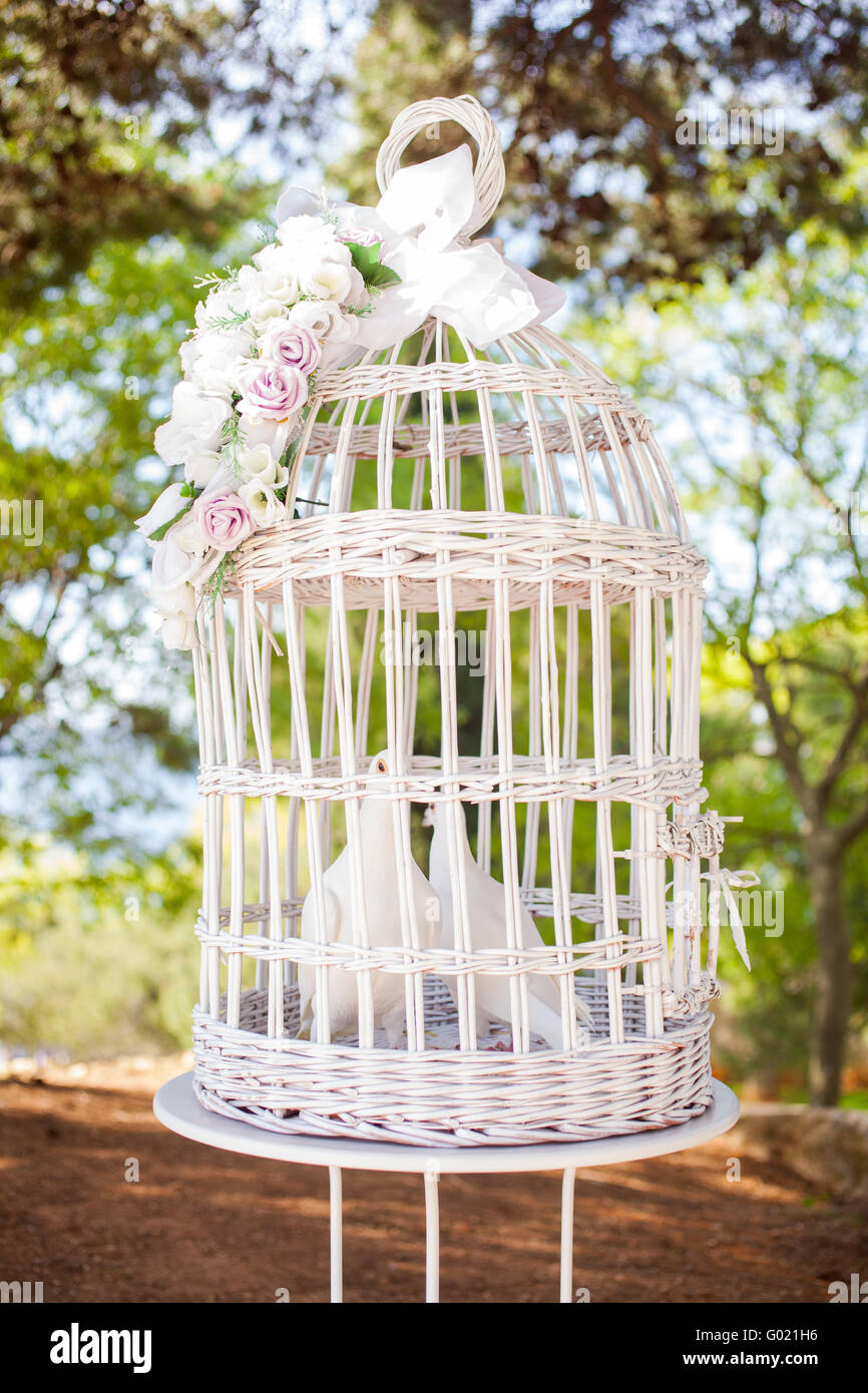 Jailbird Stock Photos & Jailbird Stock Images - Alamy