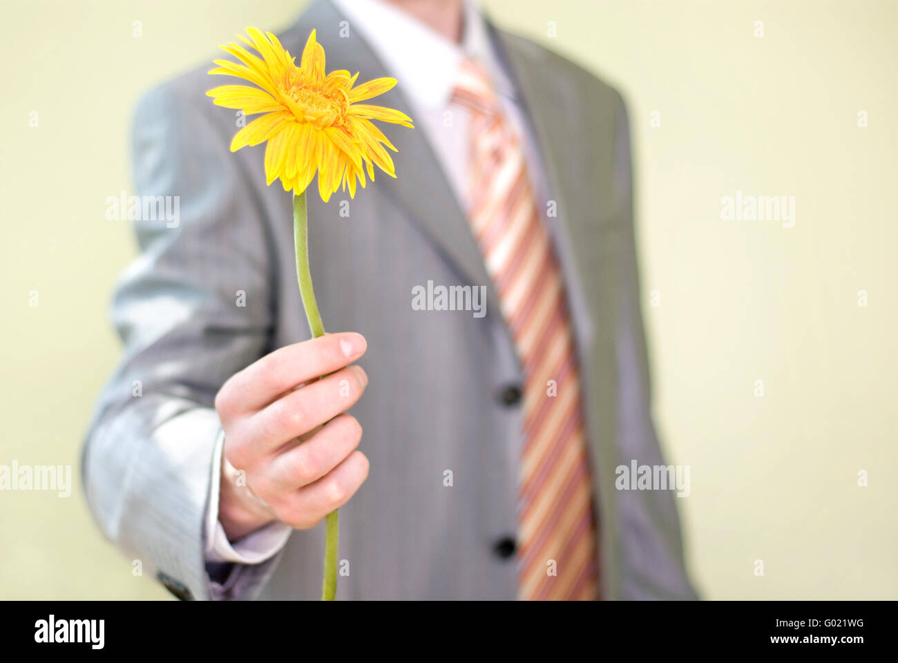 flower for you Stock Photo - Alamy