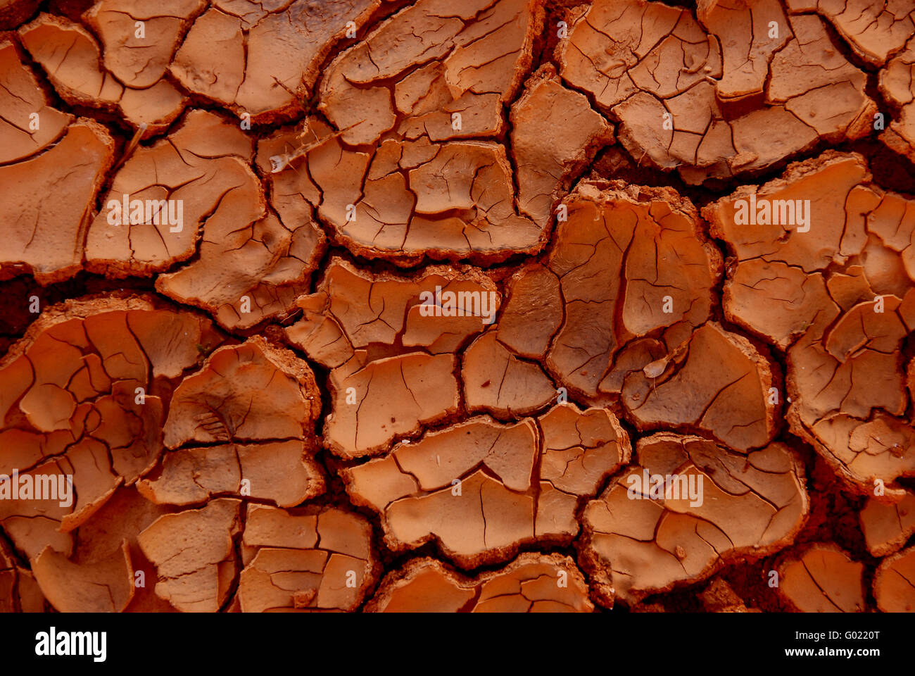 Food desert extreme hi-res stock photography and images - Alamy