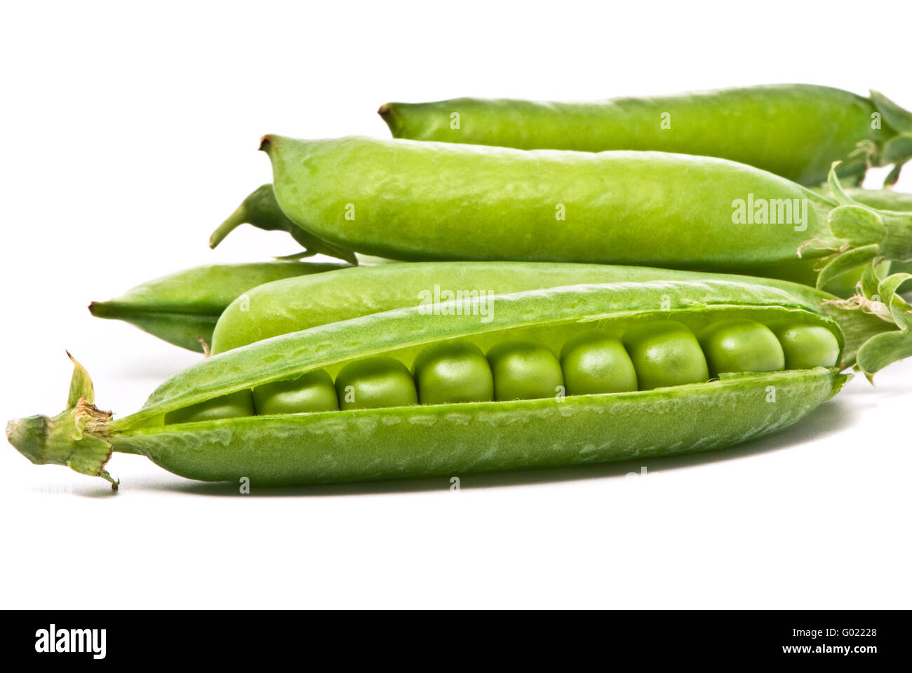 Plant pod hi-res stock photography and images - Alamy