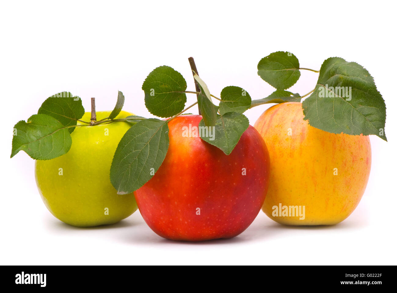 Diet of fruit and leaves hi-res stock photography and images - Alamy