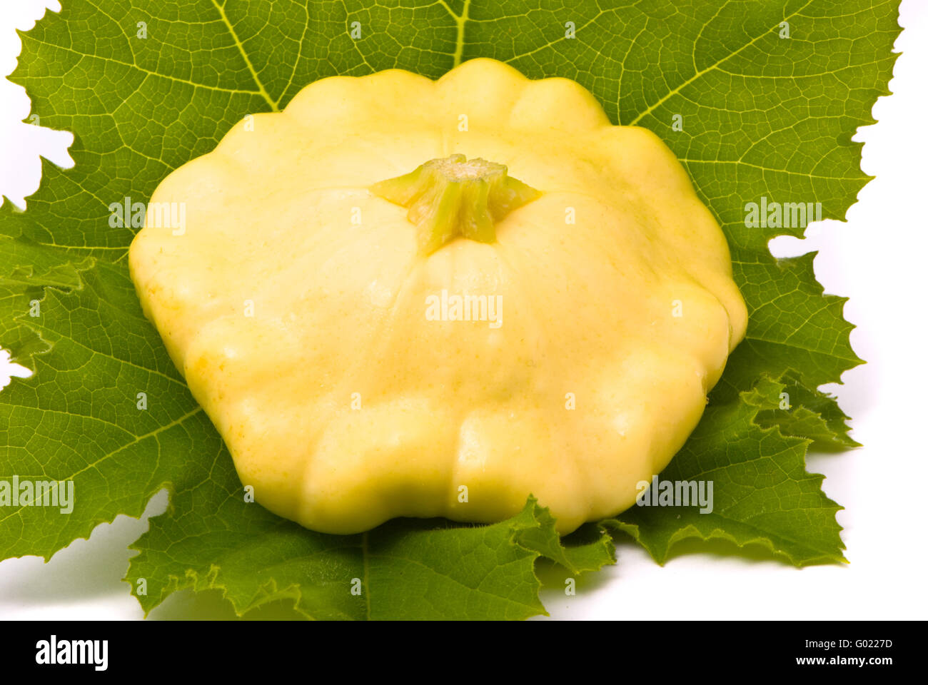 Scallop squash and green leaves on white background Stock Photo - Alamy