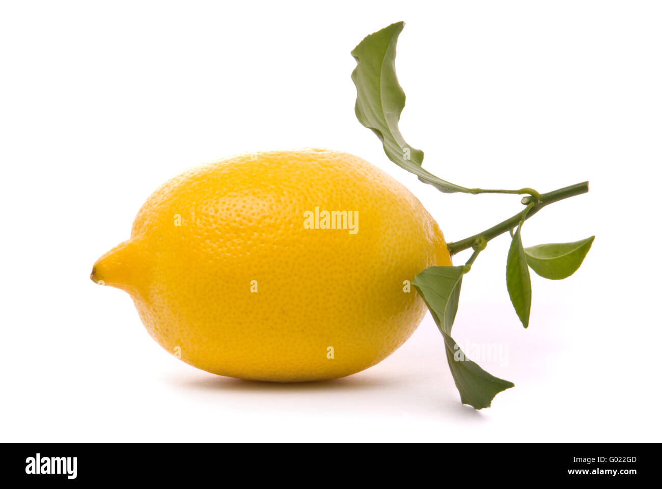 Fresh lemon isolated on a studio white background Stock Photo - Alamy
