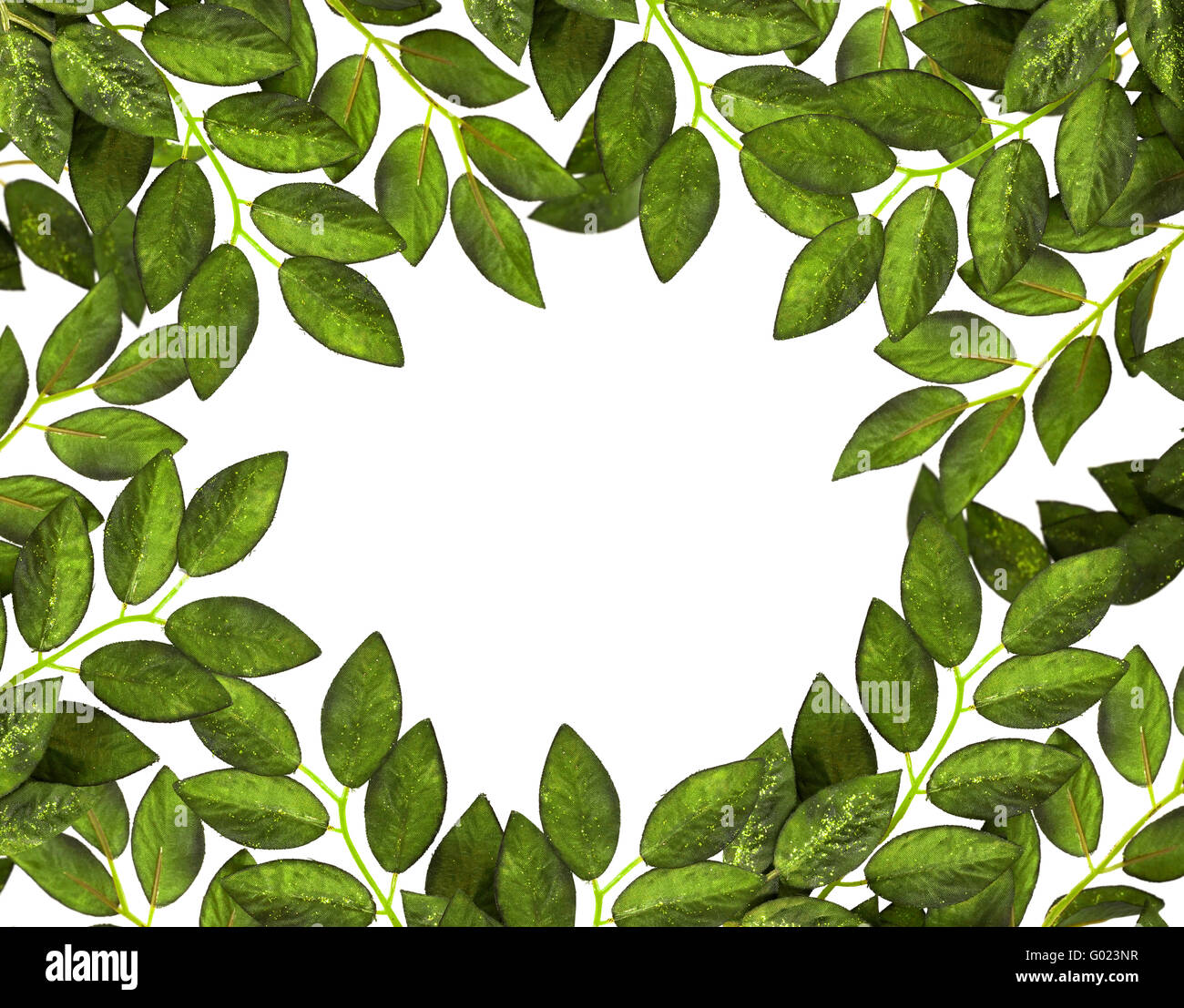 border of leaves isolated on white background Stock Photo - Alamy