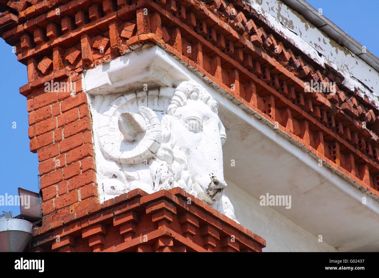 Architectural decorative element - bas-relief of a ram's head Stock ...