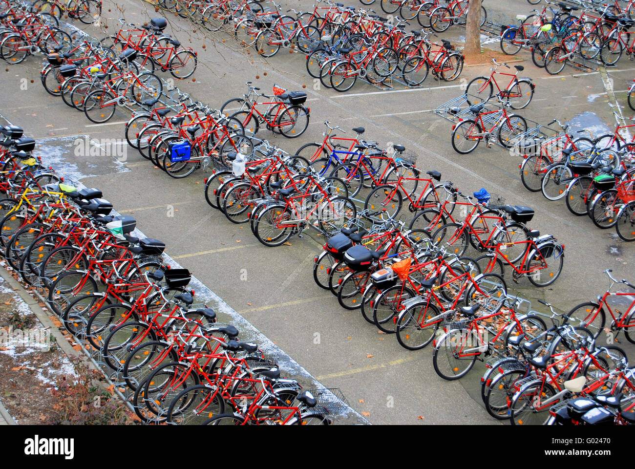 Many bicycles on a parking lot Stock Photo - Alamy
