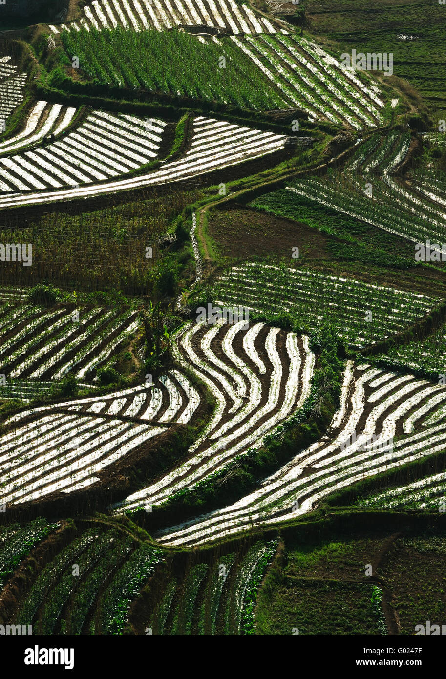 Distant field hi-res stock photography and images - Alamy