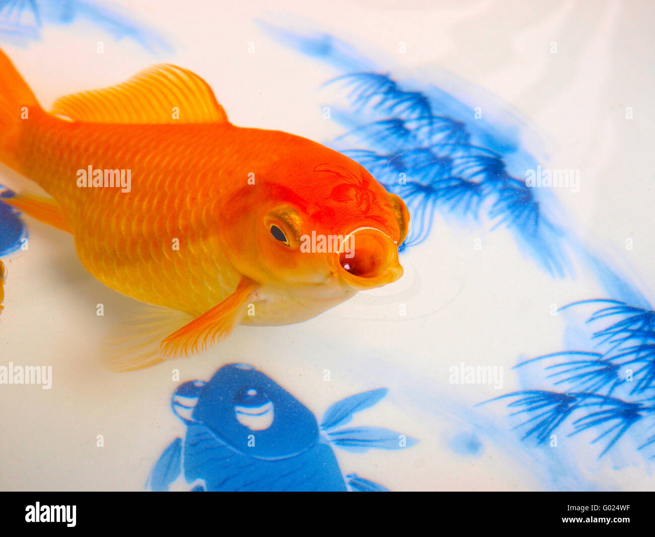 Ceramic fishes hi-res stock photography and images - Alamy
