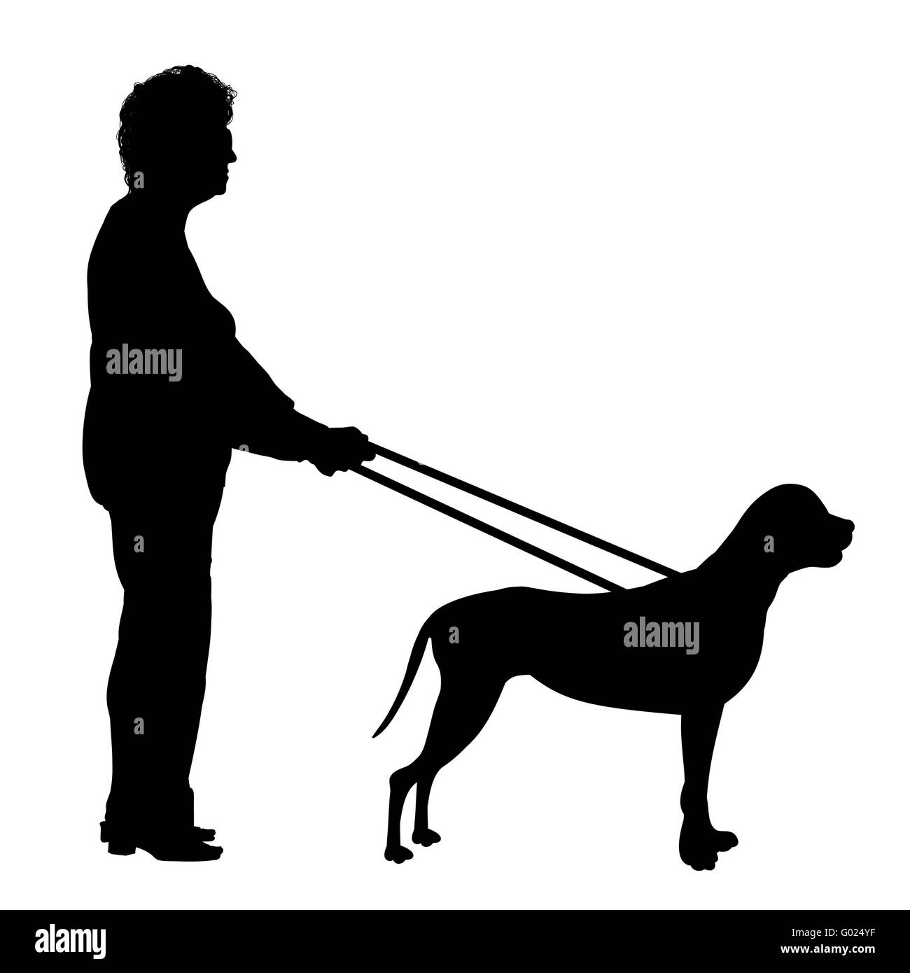 Blind person with guide dog Cut Out Stock Images & Pictures - Alamy