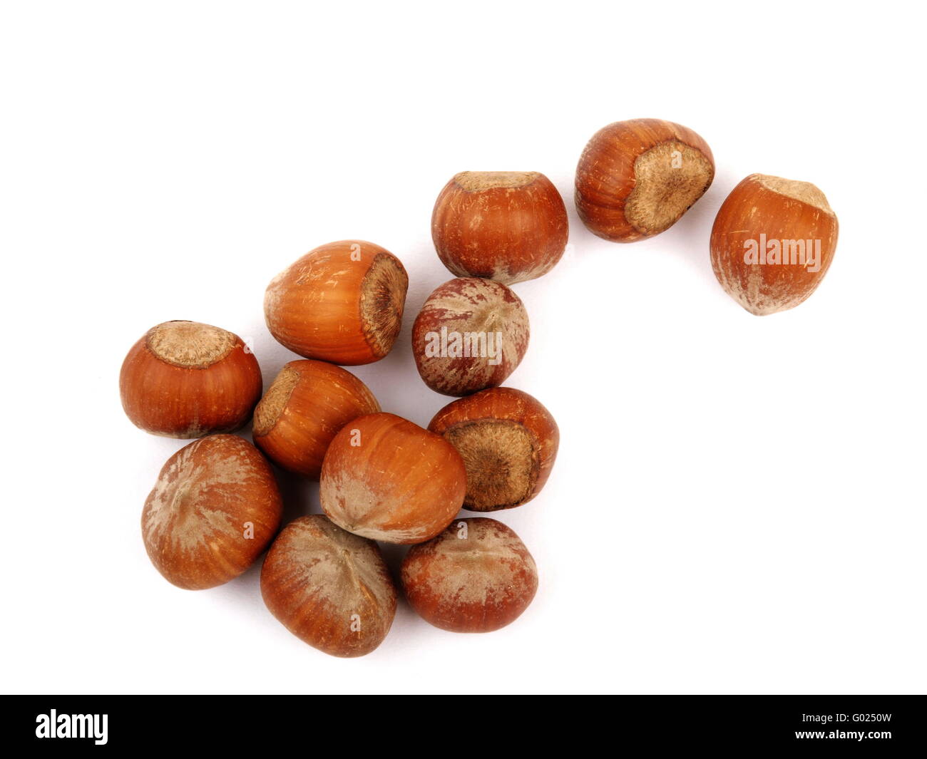 Tree nuts Cut Out Stock Images & Pictures - Alamy