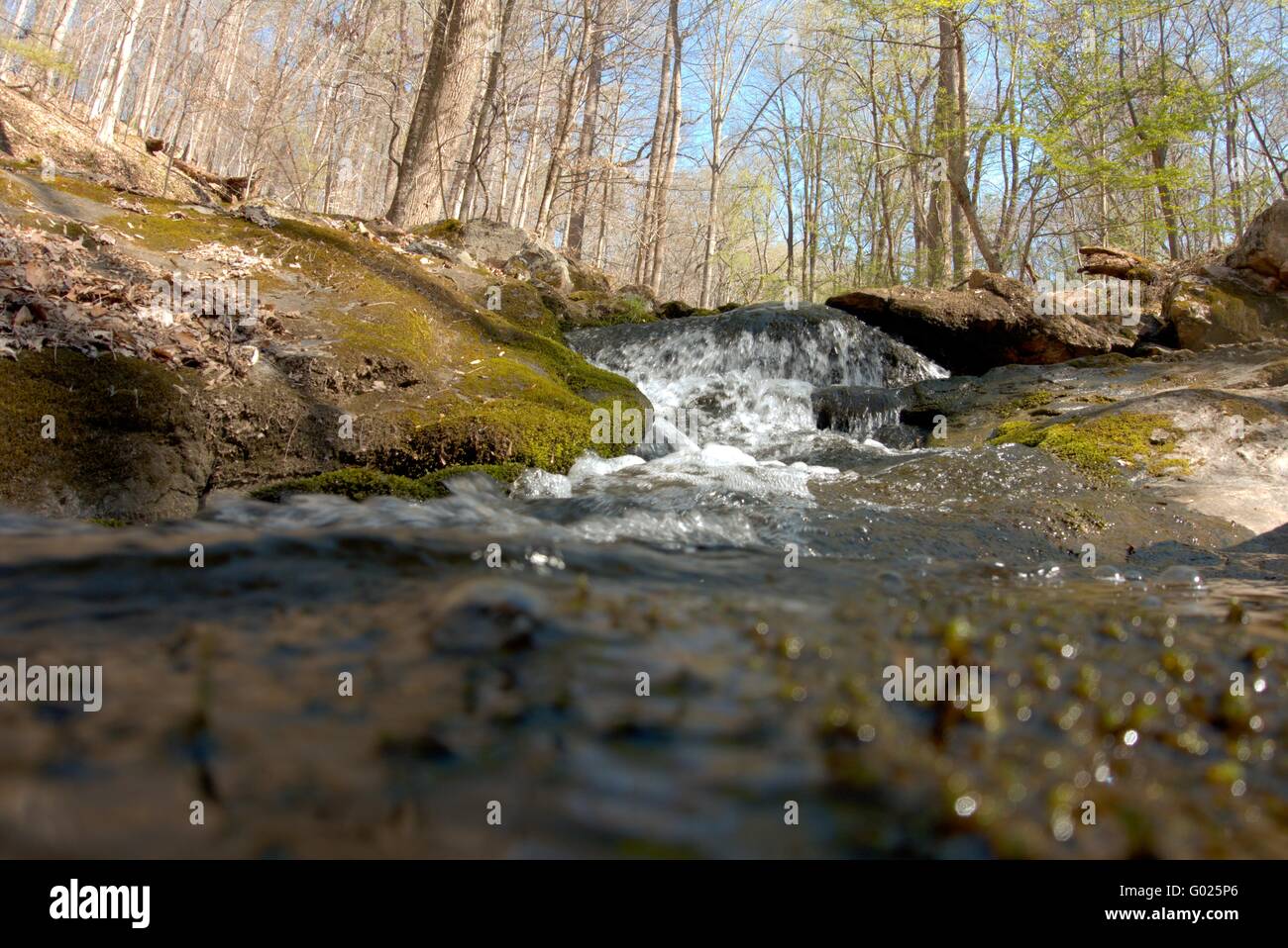 Aiming for a different perspective on a shallow stream Stock Photo - Alamy