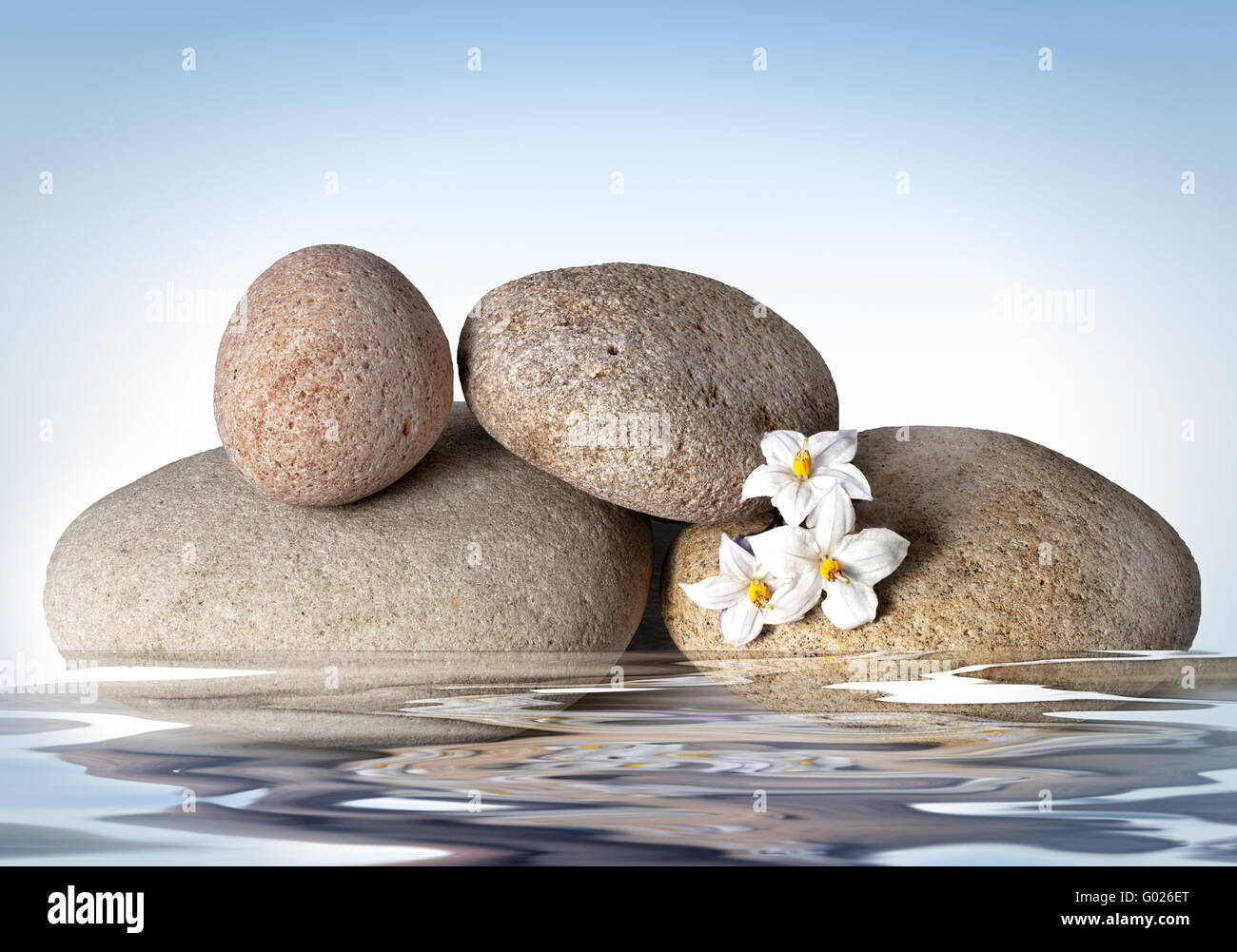 Live stones hi-res stock photography and images - Alamy