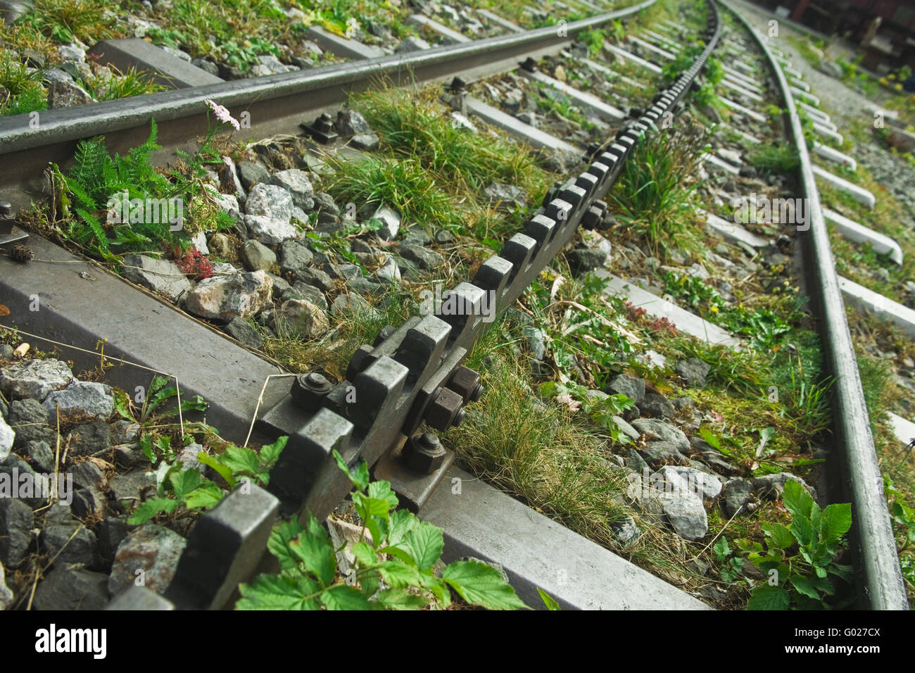 Cog railway hi-res stock photography and images - Alamy